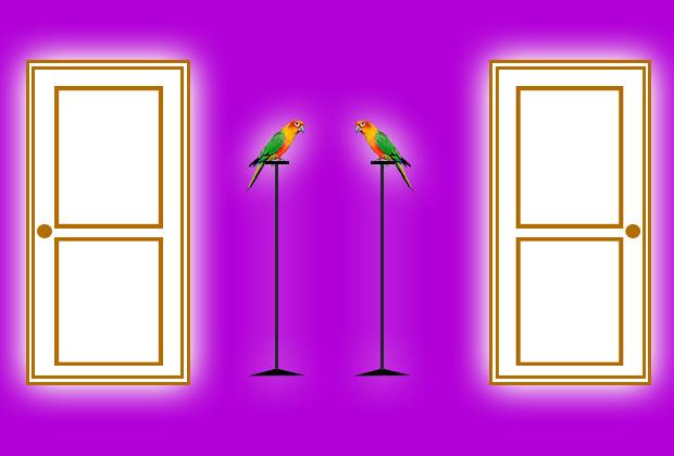 DA LI IDETE U RAJ ILI PAKAO: Ovu zagonetku može da reši samo 4 odsto ...