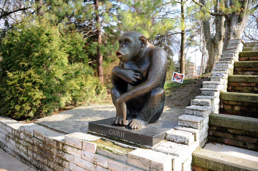 BIO JE NAJINTRIGANTNIJI STANOVNIK BEOGRADSKOG ZOO VRTA: I dalje se ...