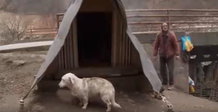(VIDEO) REKAO NE CIVILIZACIJI: Željko iz Zenice već 7 godina živi u ...