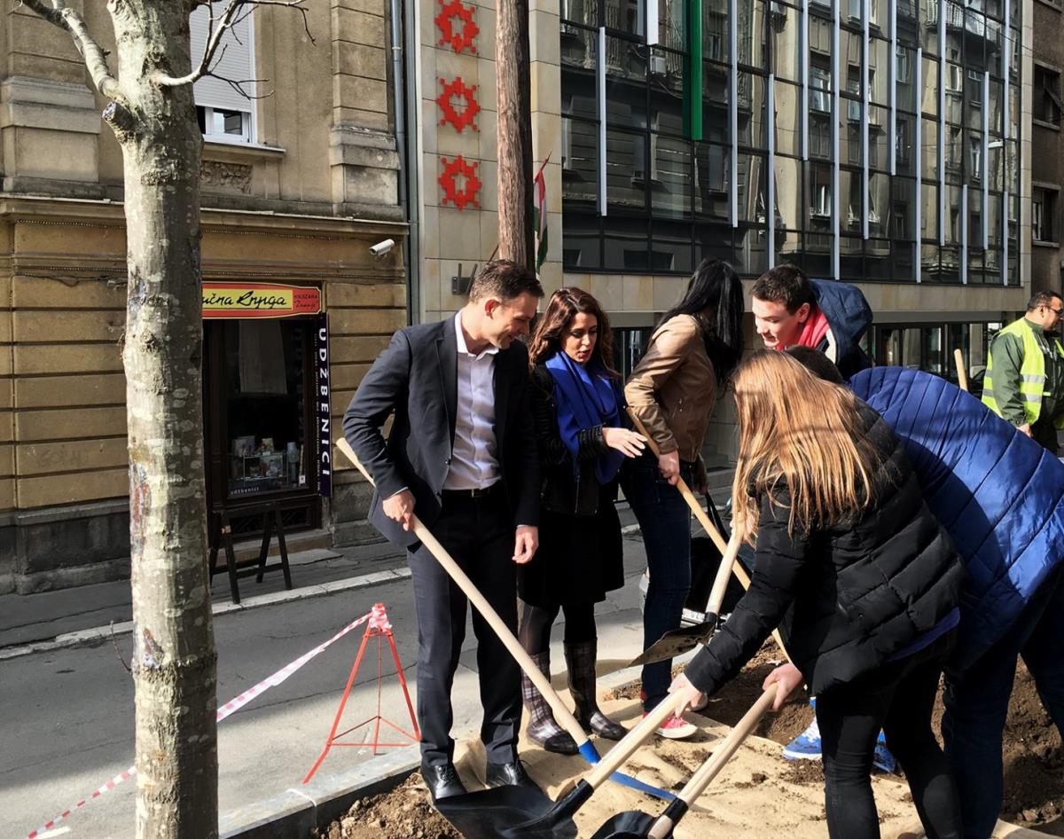 Gradonačelnik Mali i mladi hemičari zasadili stabla kod Crvenog petla ...