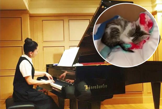 (VIDEO) OBOŽAVA DA ZASPI NA KLAVIRU: Pijanistikinja iz Japana usvojila ...