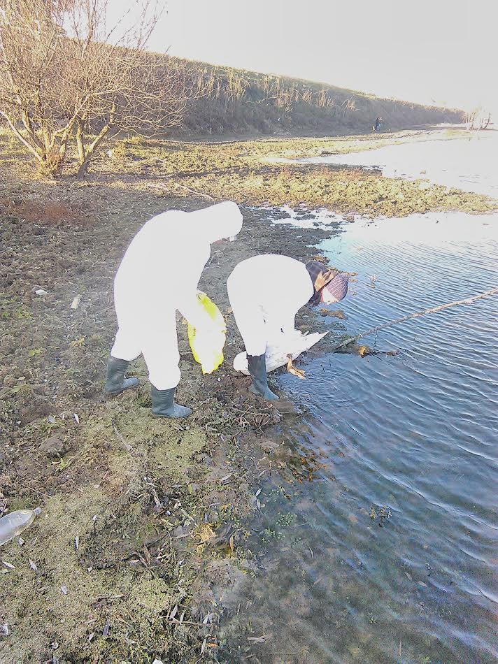 POKRAJINSKI ZAVOD ZA ZAŠTITU ŽIVOTNE SREDINE: Ne uznemiravajte divlje ...