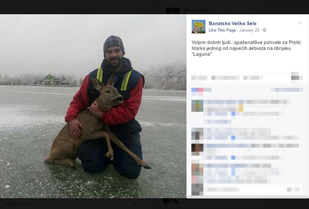 BANATSKO VELIKO SELO: Zalutalu i iznemoglu srnu spasli sa zaleđenog ...