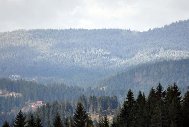 MILOMIR SNIMIO ČUDO PRIRODE PODNO MURTENICE! Visoko je kao plast sena i ...