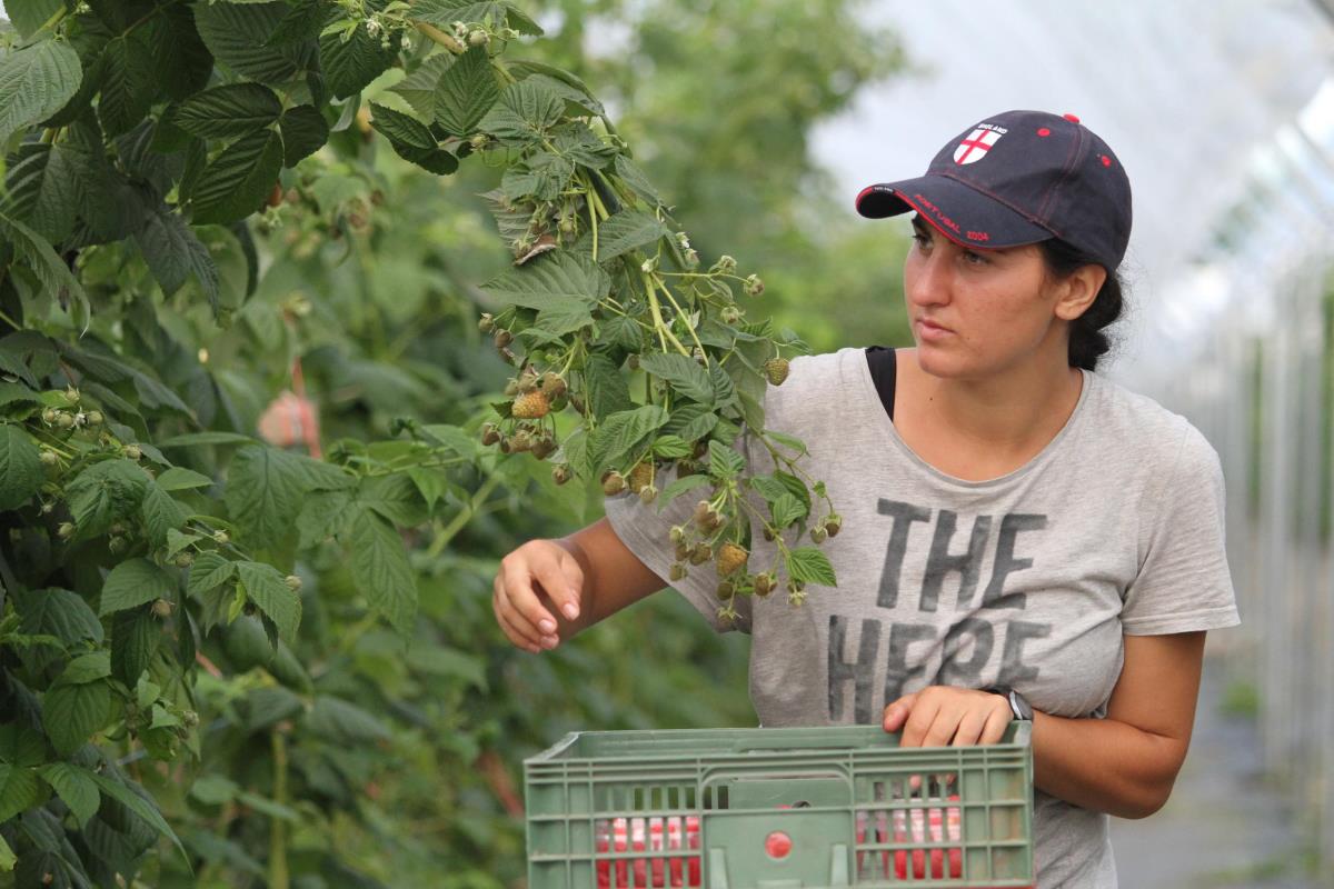 MALINARI NUDE STAN I DNEVNICU A RADNIKA NIGDE: Svi misle to je lako ...