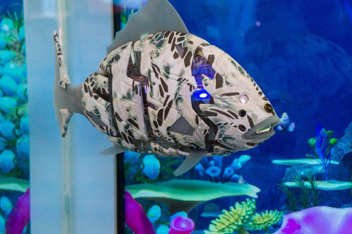 (VIDEO) STVARA SE NAJVEĆE JATO RIBA ROBOTA NA SVETU: Veštačka ...