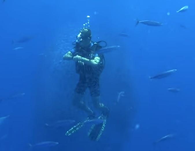 RONIOCA OKRUŽILO JATO RIBA: Uživao je u neverovatnom prizoru, ali nije ...