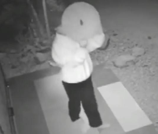 LOPOV PREKRIO LICE NA URNEBESAN NAČIN DA GA NE SNIME KAMERE: Sada mu se ...