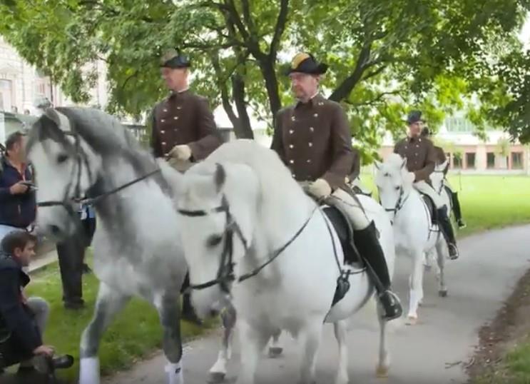 AUSTRIJA I SLOVENIJA UDRUŽILE SNAGE: Zajedničkom borbom lipicaneri će ...