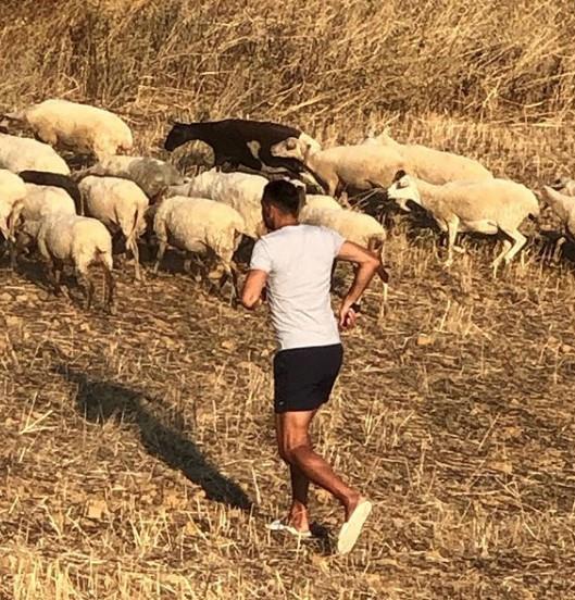 IMA MILIONE, A VOZI TRAKTOR I ČUVA OVCE! Proslavljeni srpski košarkaš i jedan od najboljih ...